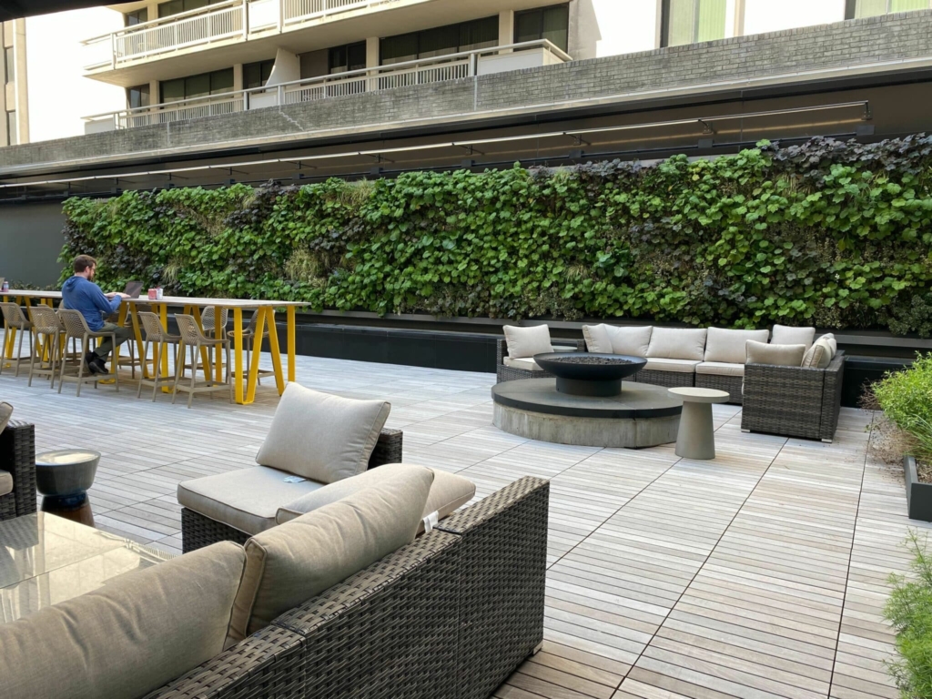 Transform Your Space with a Lush Outdoor Living Wall: A Step-by-Step ...